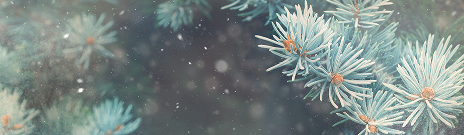 Counting Down Our Top Blogs of 2021