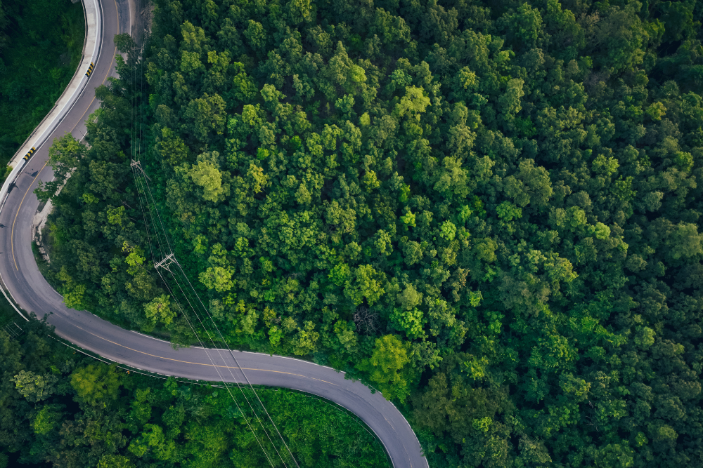 The Long and Winding Road for ESG